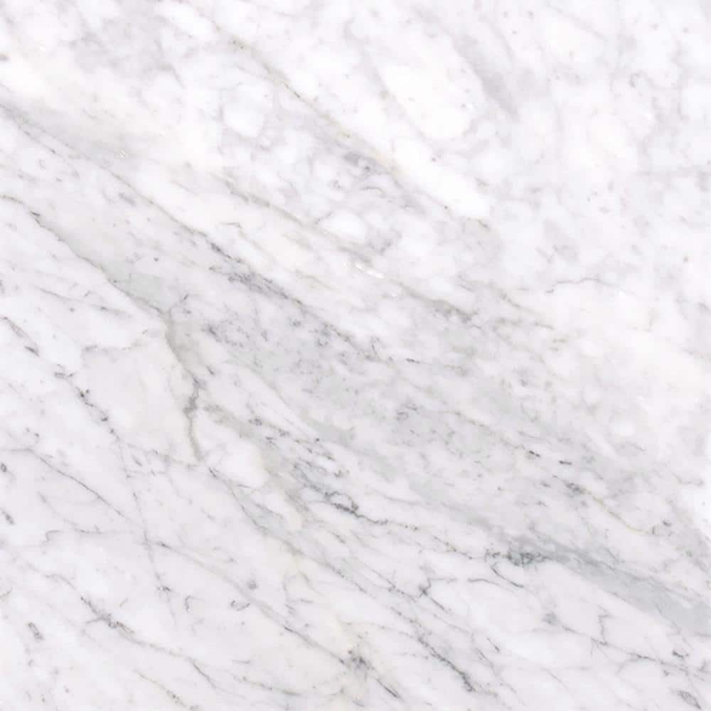 MSI Carrara White 12 in. x 12 in. Honed Marble Floor and Wall Tile (10 ...