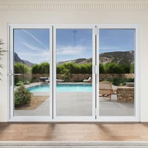 ARK DESIGN 120 in. x 96 in. Right Center Opening/Outswing Double ...