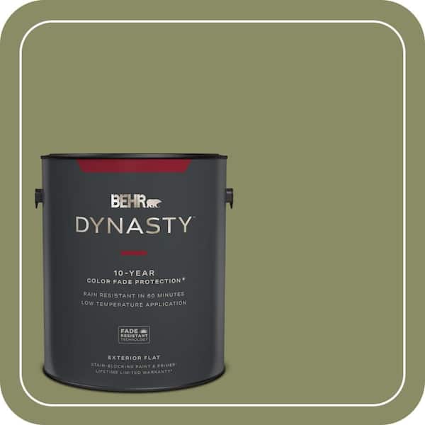 BEHR DYNASTY 1 gal. #S360-5 Yogi Flat Exterior Stain-Blocking Paint ...