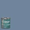 BEHR PREMIUM 1 qt. #S520-5 Thundercloud Satin Enamel Interior/Exterior ...