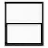 JELD-WEN 42 in. x 54 in. V-4500 Series Black FiniShield Single-Hung ...
