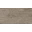 EMSER TILE Explorer Milan Matte 11.81 in. x 23.62 in. Porcelain Floor ...