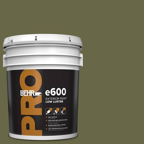 BEHR PRO 5 gal. #PPU9-24 Amazon Jungle Low Luster Exterior Paint ...