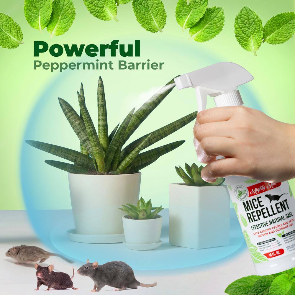 Buy 16 oz. Peppermint Oil Mice Repellent Spray - Non Toxic Online at ...