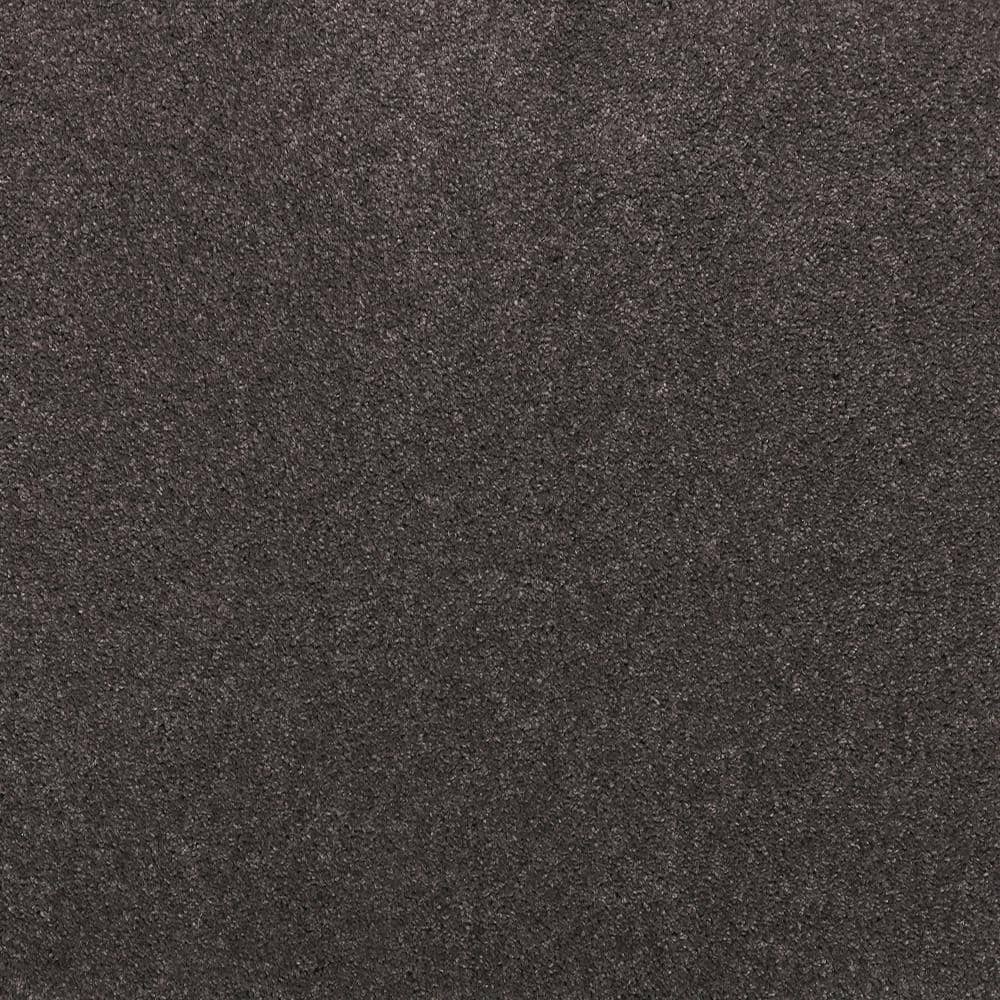 Lifeproof 8 in. x 8 in. Texture Carpet Sample - Plush Dreams III -Color ...
