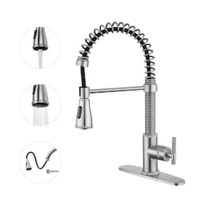 CASAINC Single-Handle Pull Down Sprayer Kitchen Faucet with Power Clean ...