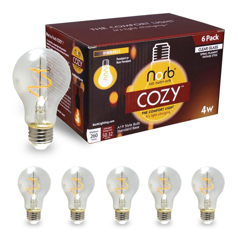 ELECWISH NorbCOZY 4W Equivalent A19 Warm White (Less Than 2700K ...