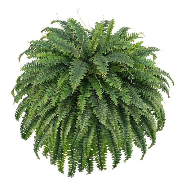 26 in. Green Indoor/Outdoor Artificial Boston Fern Shrub for Home ...