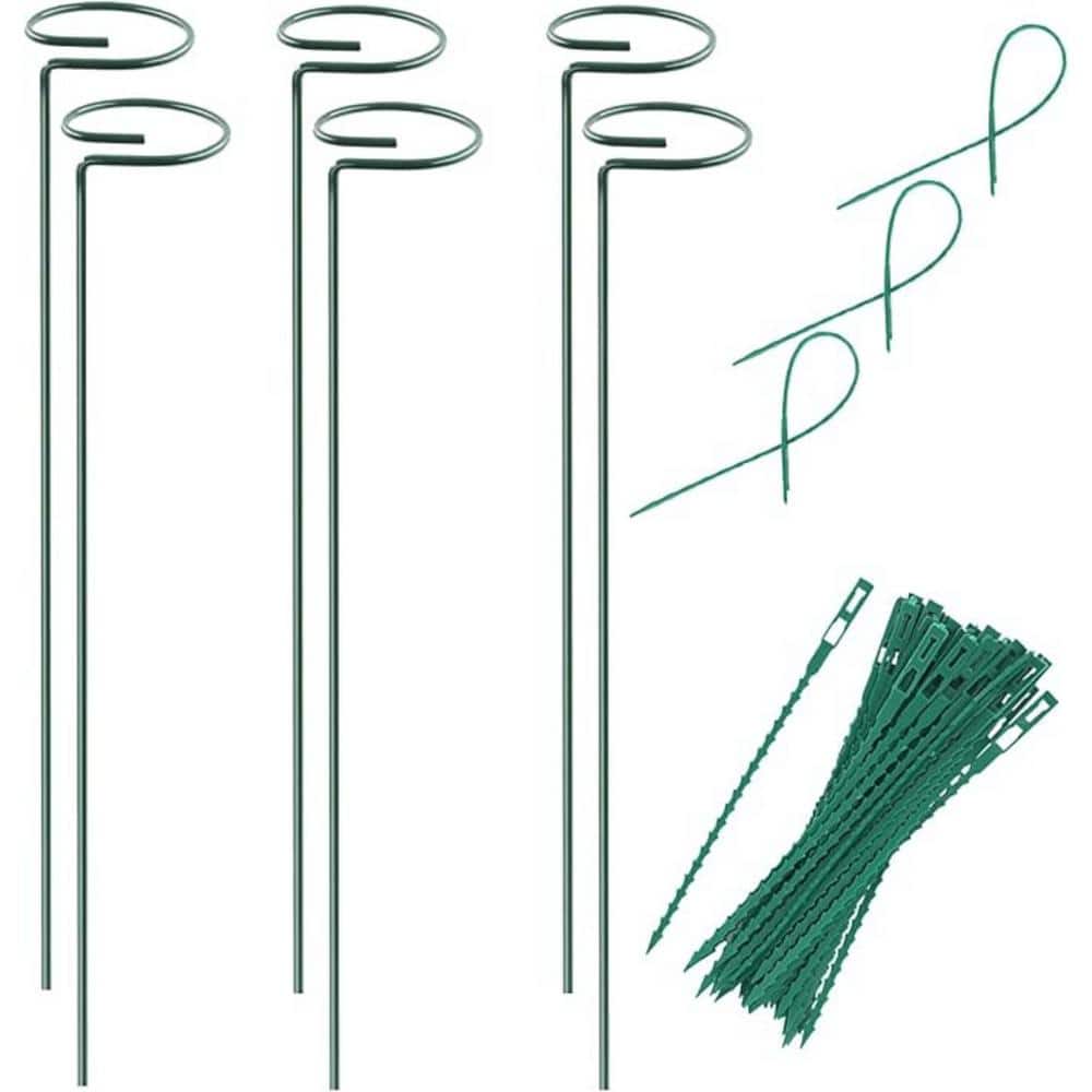 Dyiom Plant Stake Support-6 Pack B08395DRVF - The Home Depot