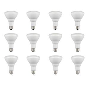 Westinghouse - LED Light Bulbs - Light Bulbs - The Home Depot
