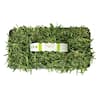 Sod Pods St Augustine CitraBlue Grass Sod Plugs Natural, Affordable ...