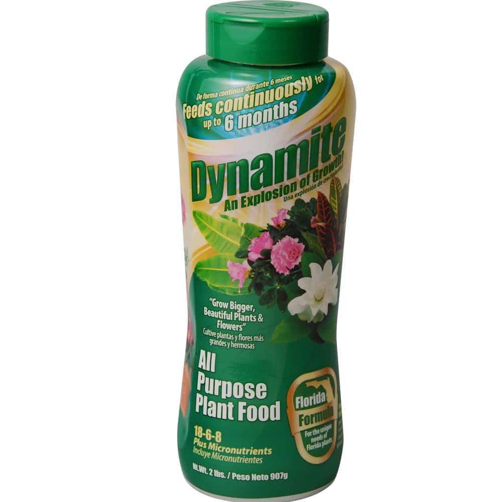 Dynamite 2 lbs. All Purpose Plant Food, Florida Formula 82070 - The ...