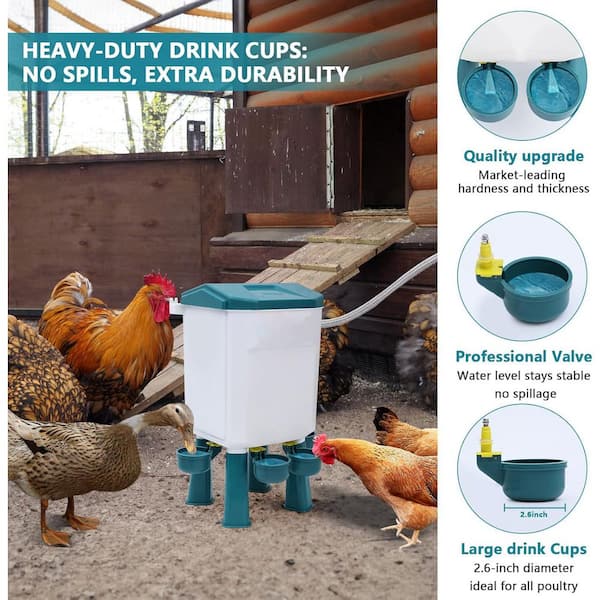 Self Watering System For Chickens