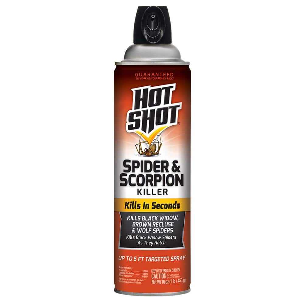 Hot Shot 16 oz. Spider and Scorpion Insect Killer Aerosol Spray HG ...