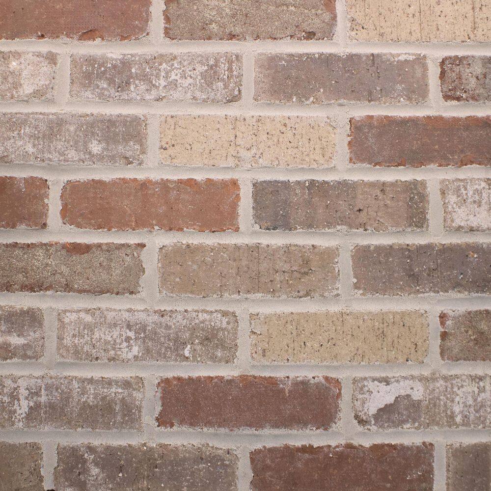 Old Mill Brick 28 in. x 10.5 in. x 0.5 in. Brickwebb Cathedral Thin Brick Sheets (Box of 5 ...