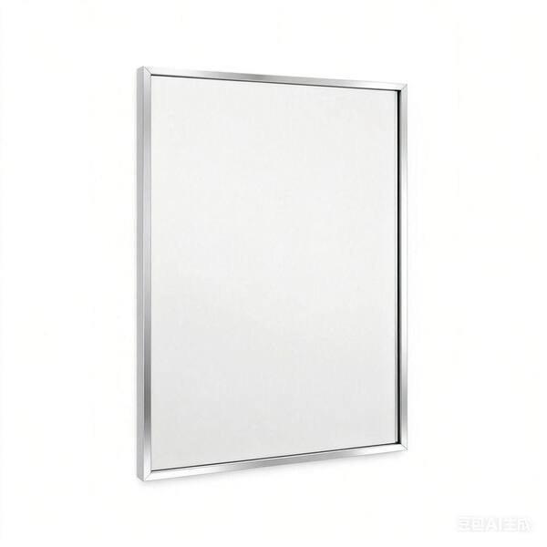 Bonosuki 22 in. H x 30 in. W Modern Bathroom Vanity Mirror with Double ...