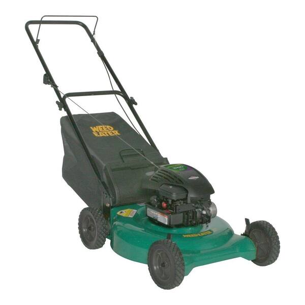 Weed Eater 21 in. Briggs & Stratton 2-in-1 Push Gas Walk Behind Lawn ...