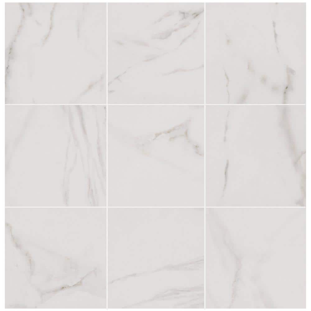 Florida Tile Home Collection Michelangelo White 12 in. x 12 in ...