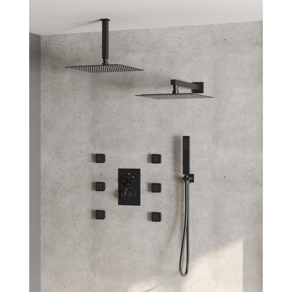 EVERSTEIN Luxury 15-Spray Wall and Ceiling Mount Triple Fixed and ...