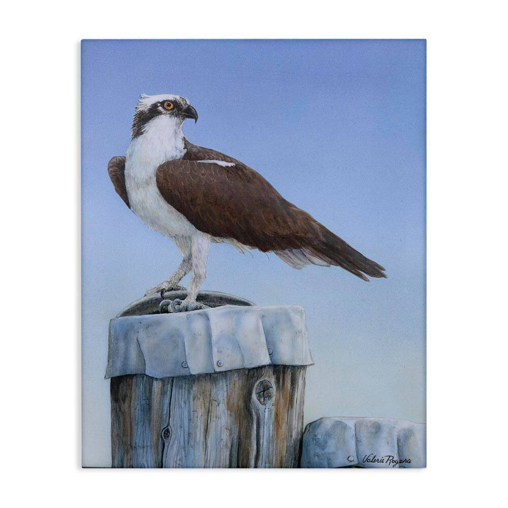 Stupell Industries Harbor Master Bird Perched by Valerie Rogers ...