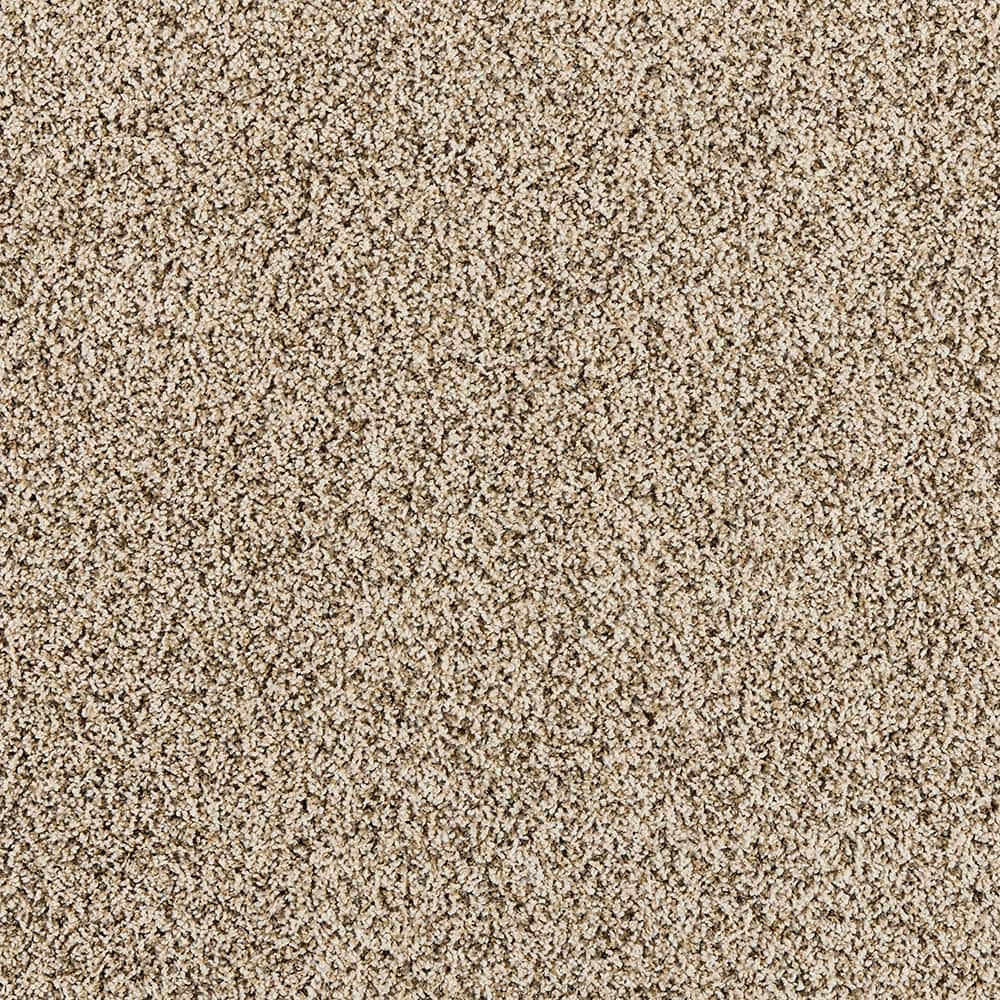 Home Decorators Collection 8 in. x 8 in. Texture Carpet Sample ...