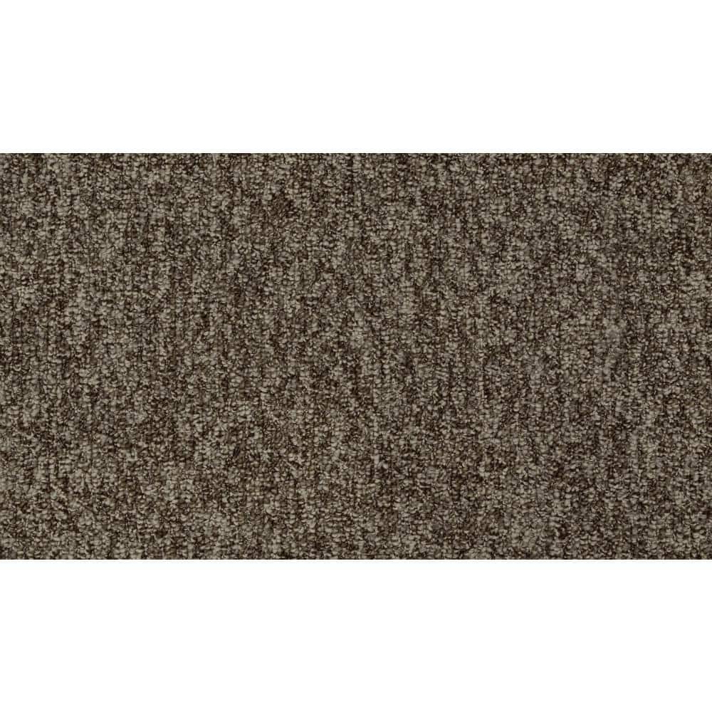 TrafficMaster 8 in. x 8 in. Pattern Loop Carpet Sample - Lanwick ...