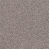 Home Decorators Collection 8 in. x 8 in. Texture Carpet Sample ...