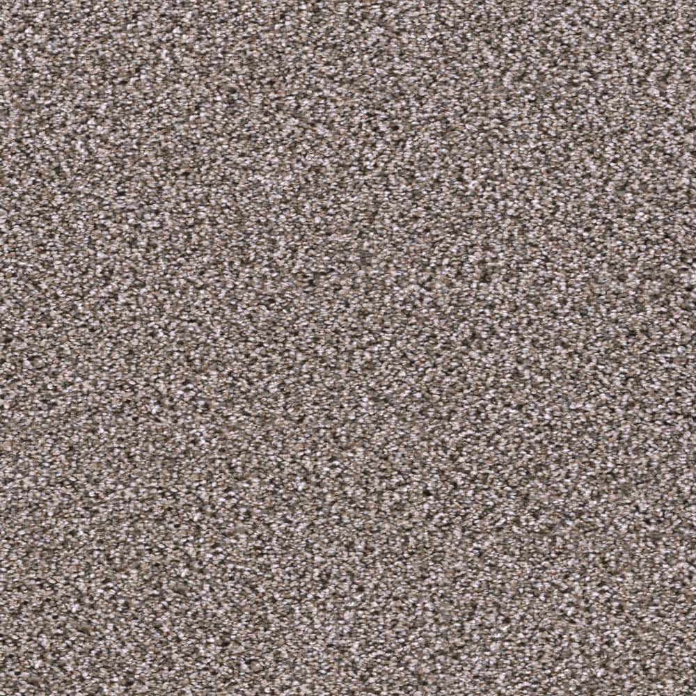 Home Decorators Collection 8 in. x 8 in. Texture Carpet Sample ...