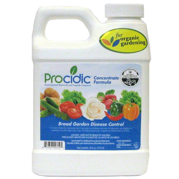 Procidic 16 oz. Concentrate Bactericide and Fungicide 11C0016
