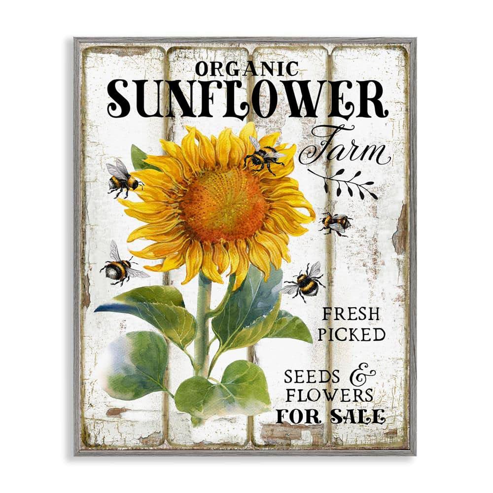 Stupell Industries Organic Sunflower Farm by Creatif Belle Gray Framed ...