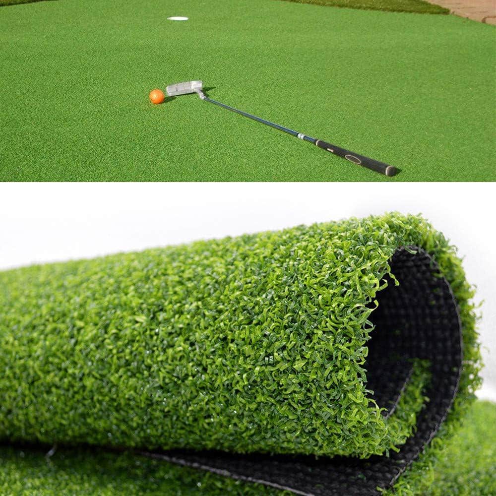 LITA GOLF Putting Green 4 ft. x 6 ft. Green Artificial Grass Turf LT ...