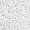 USG Ceilings 2 ft. x 2 ft. Alpine White Shadowline Tapered Edge Lay-In ...