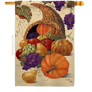 Breeze Decor 28 in. x 40 in. Fall Lantern Harvest Autumn House Flag ...