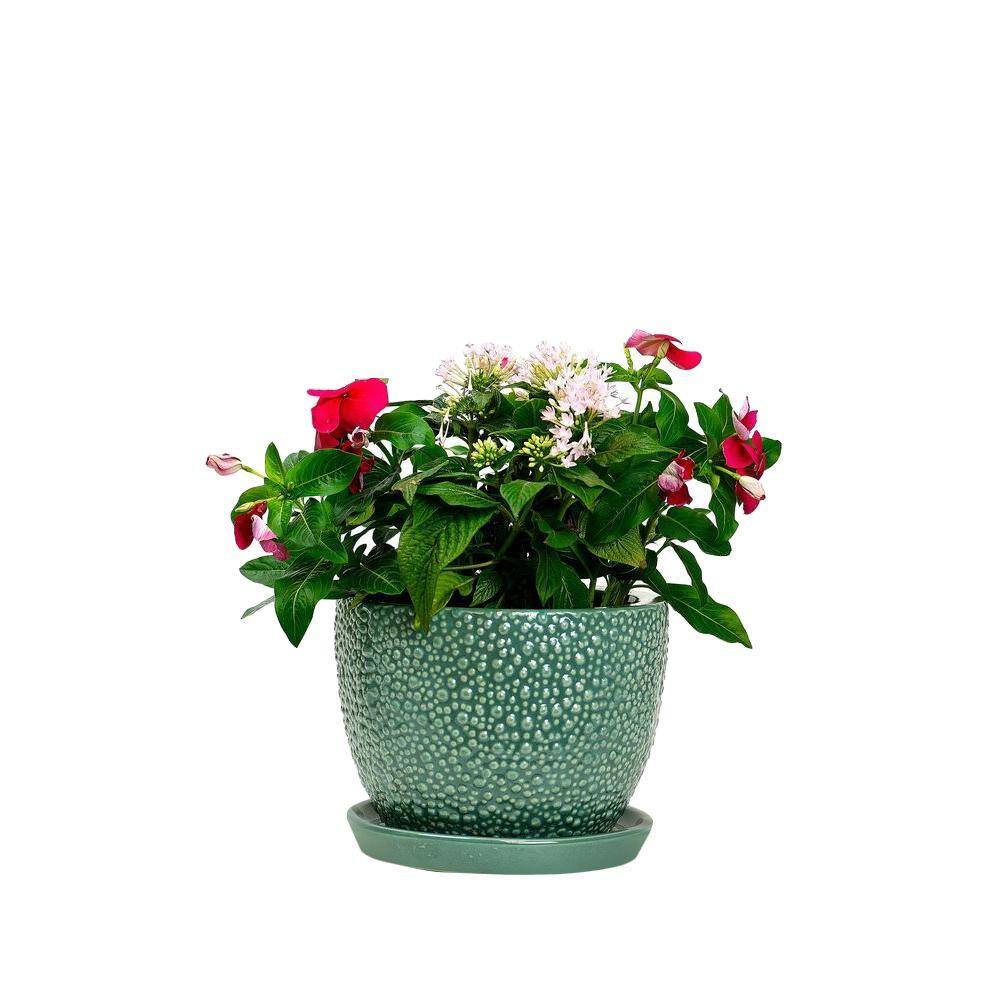 Pennington 7.48 in. Small Teal Blue Ceramic Bubble Pot with Saucer ...