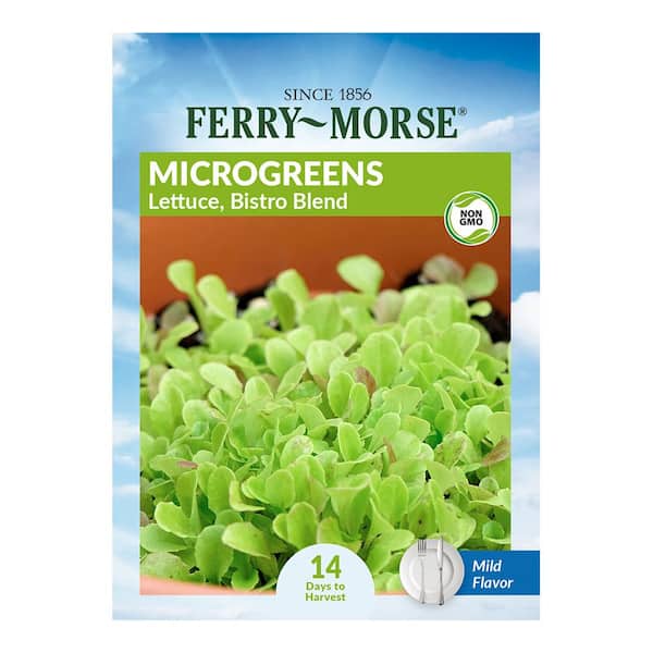 Ferry-Morse Lettuce Bistro Blend Micro-greens Vegetable Seeds 9678 ...