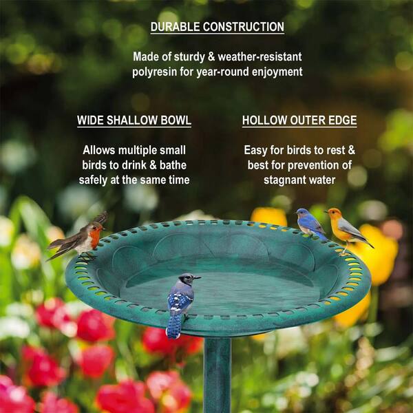 Shallow Bird Bath For Hummingbirds