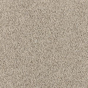 Home Decorators Collection 8 in. x 8 in. Texture Carpet Sample ...