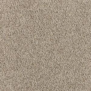 Home Decorators Collection 8 in. x 8 in. Texture Carpet Sample ...