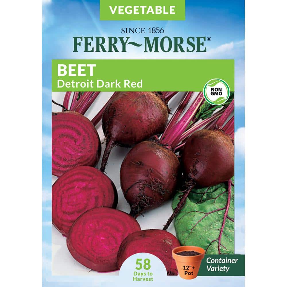Ferry-Morse Beet Detroit Dark Red Vegetable Seeds 7101 - The Home Depot