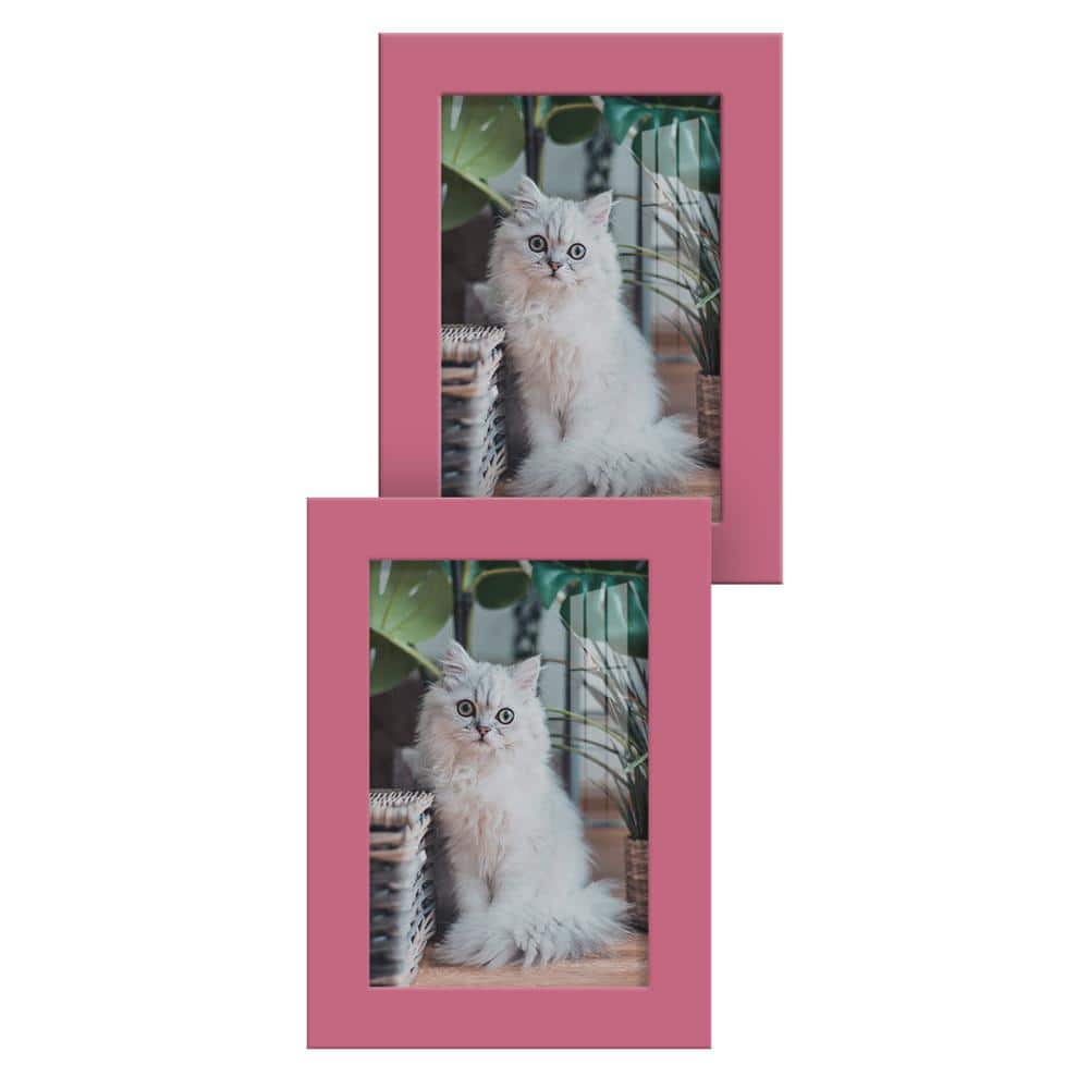 Wexford Home Modern 4 in. x 6 in. Hot Pink Picture Frame (Set of 2 ...