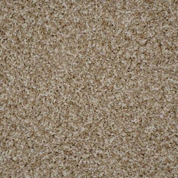 TrafficMaster Park Meadow - Color Cobblestone Texture 12 ft. Carpet ...