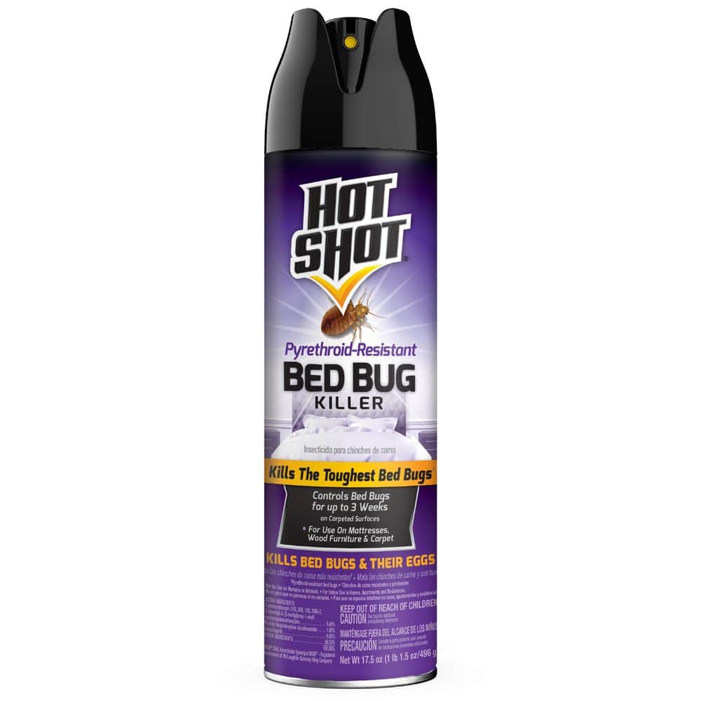 Hot Shot 17.5 oz. Pyrethroid-Resistant Bed Bug Insect Killer Aerosol HG ...