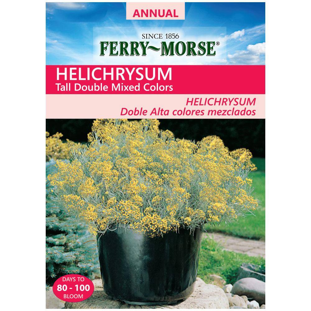 Ferry-Morse Helichrysum Tall Double Mixed Colors Flower Seed 5771 - The ...