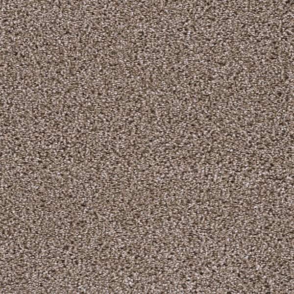 Home Decorators Collection 8 in. x 8 in. Texture Carpet Sample ...