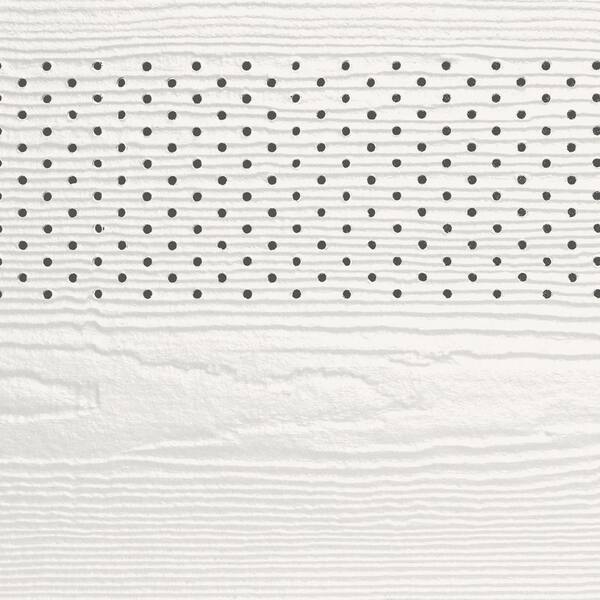 James Hardie Magnolia Home Hardie Soffit HZ10 16 in. x 144 in. Birch ...