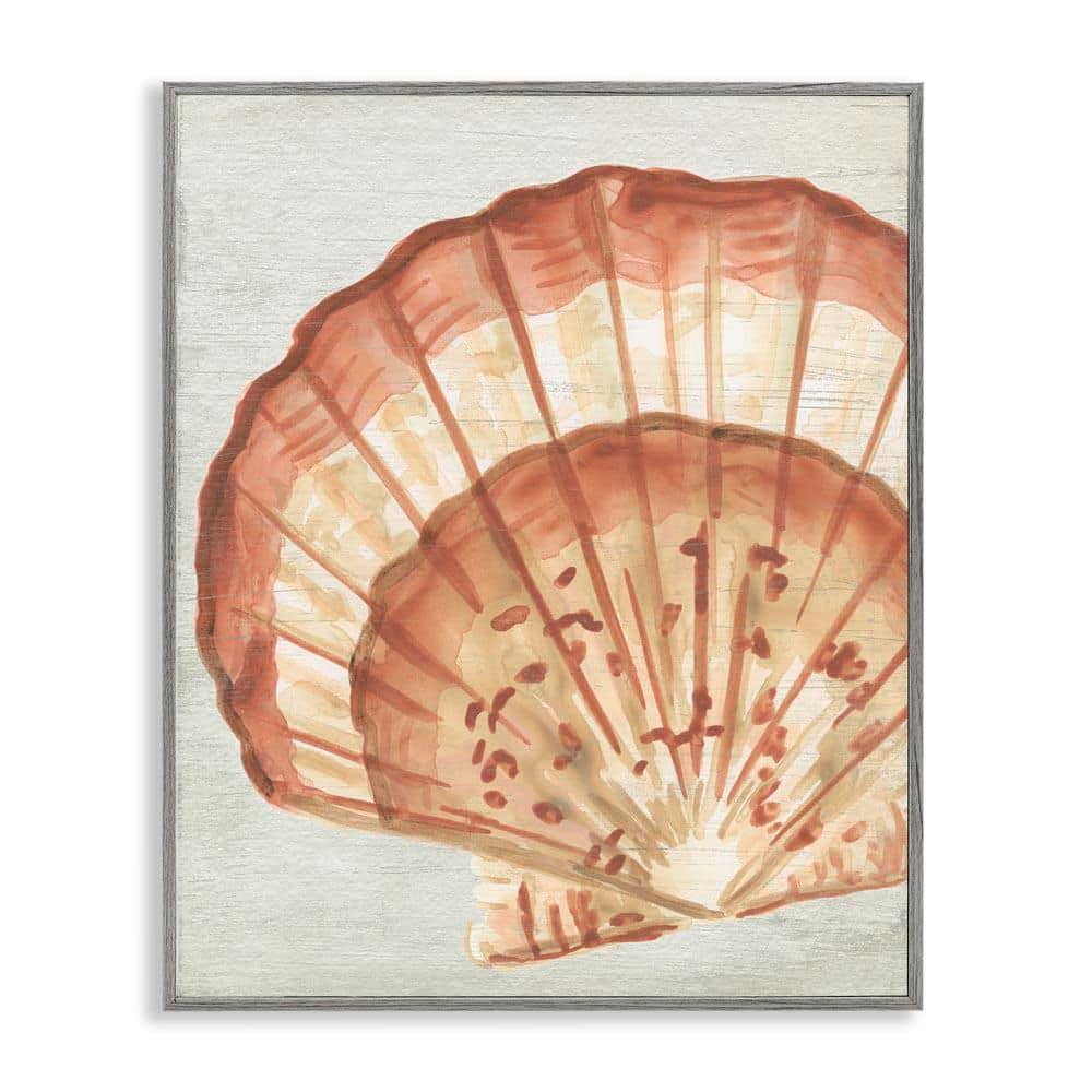 Stupell Industries Clam Shell in Beige by June Erica Vess Gray Framed ...