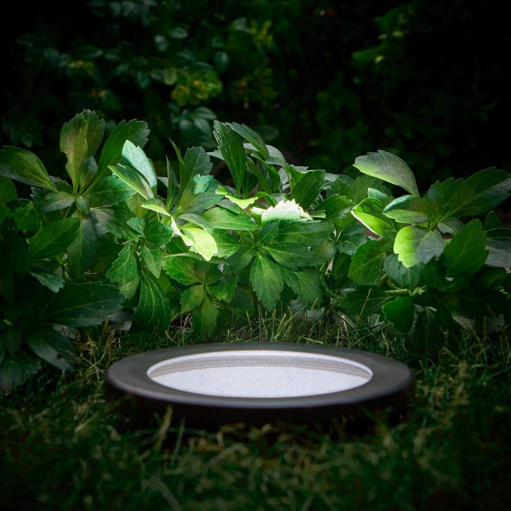 Hampton Bay 600 Lumen Low Voltage 6 in. Black LED Outdoor InGround Well ...