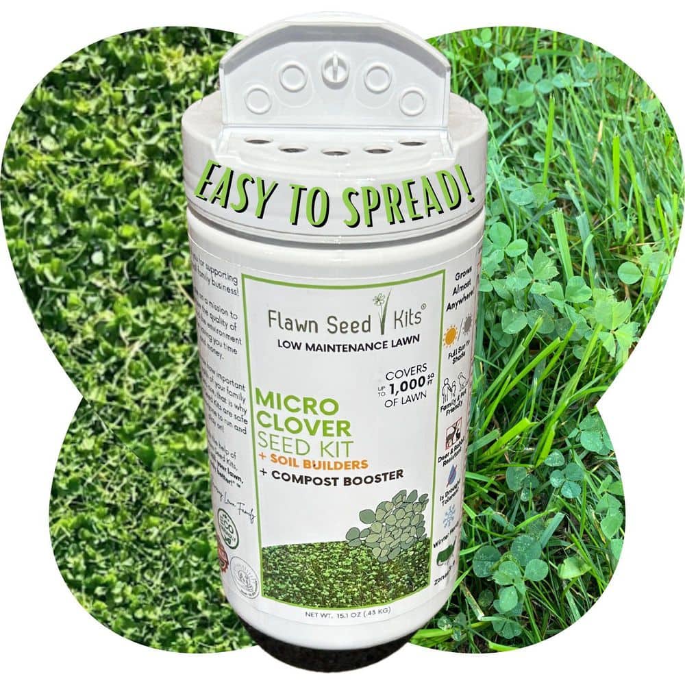 Flawn Seed Kits Micro Clover Alternative Grass Seed,Easy Spread,Eco ...