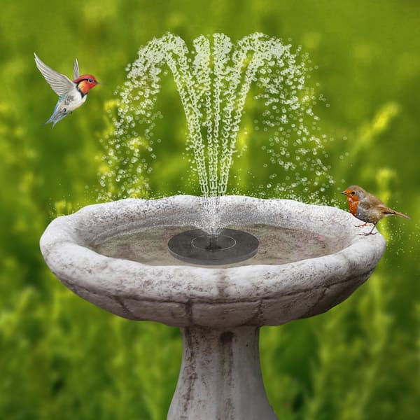 DARTWOOD Solar Bird Bath and Water Fountain with 4 Different Nozzle Heads Perfect for Bird Baths and Small Ponds SolarBirdFountBlkUSA The Home Depot