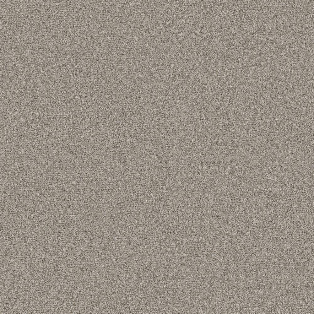 Home Decorators Collection 8 in. x 8 in. Texture Carpet Sample ...